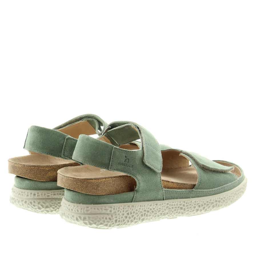 Hartjes Shoes USA – Comfort Plus Shoes & Footcare